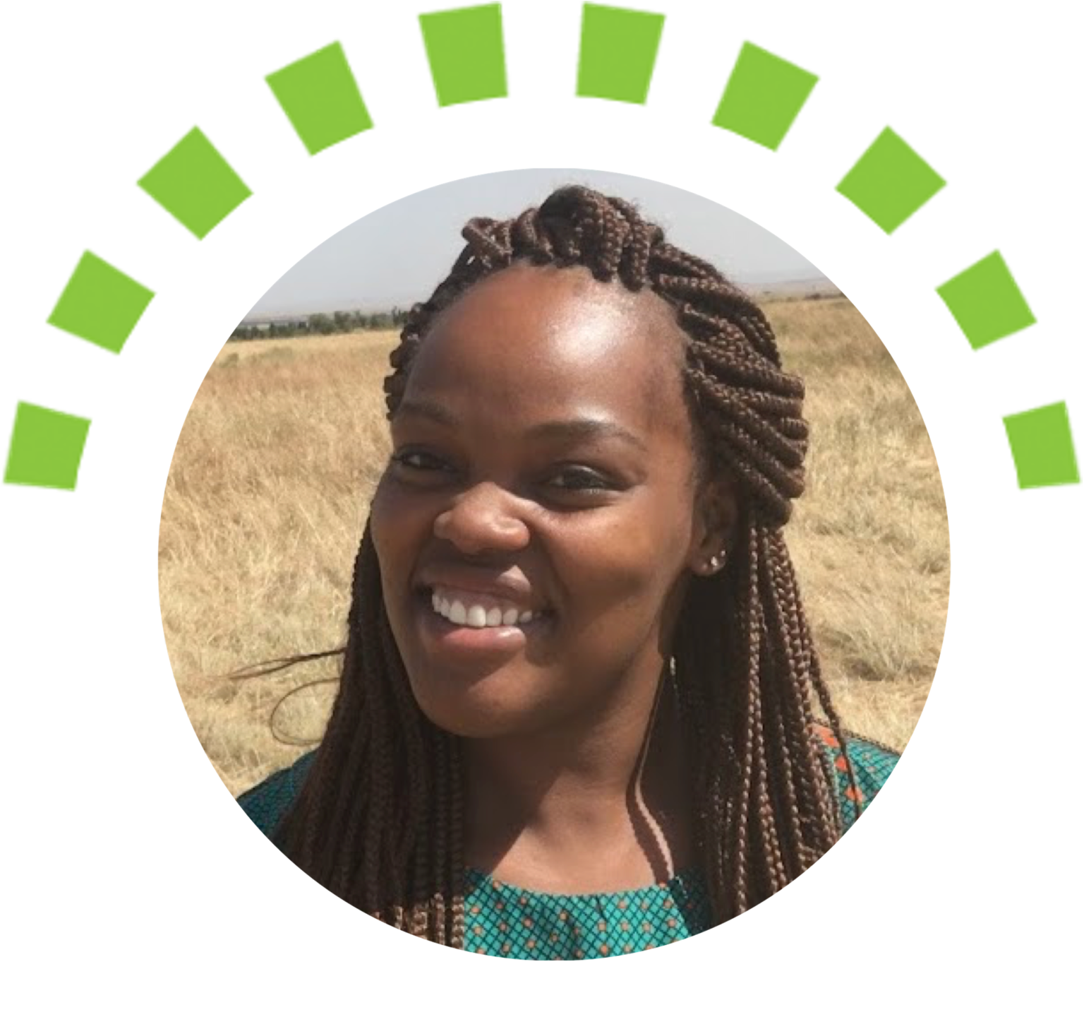 About Us | Emerald Cities Collaborative (ECC)